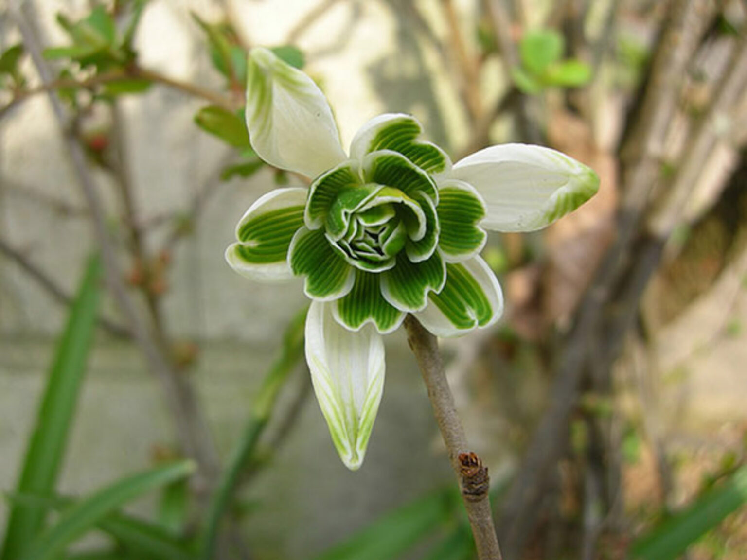 Home - Eurobulbs UK Ltd